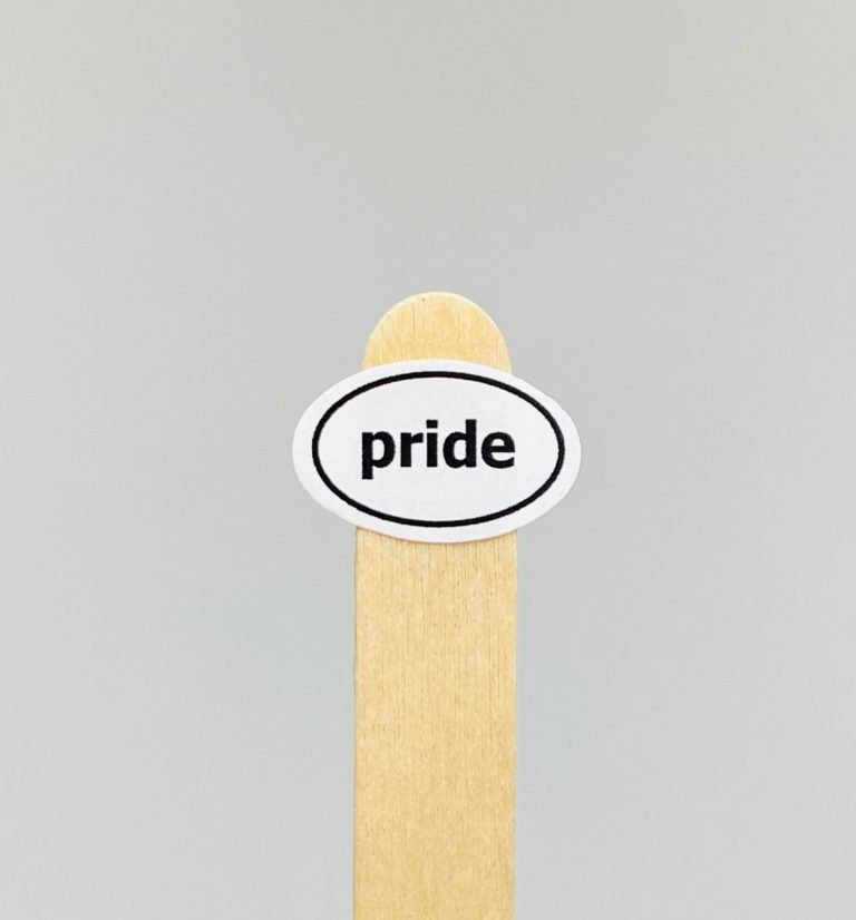 Pride Sticker | Mighty Tags