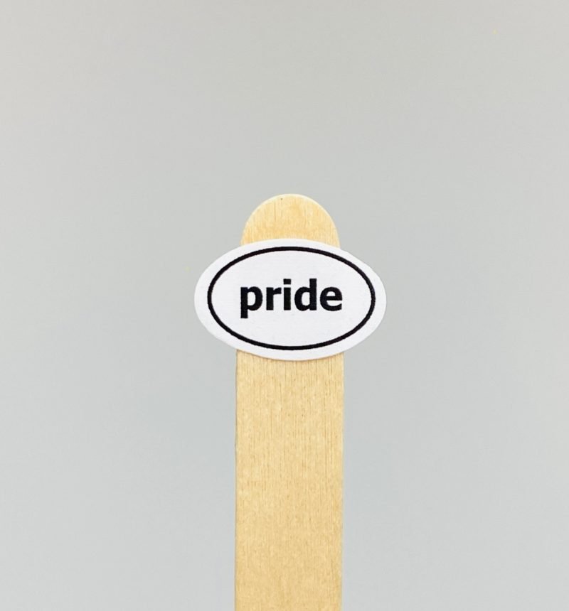 Pride Sticker | Mighty Tags
