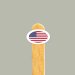 United States Flag Sticker: Show Your Pride!